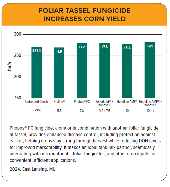 Vive's Corn Solutions
